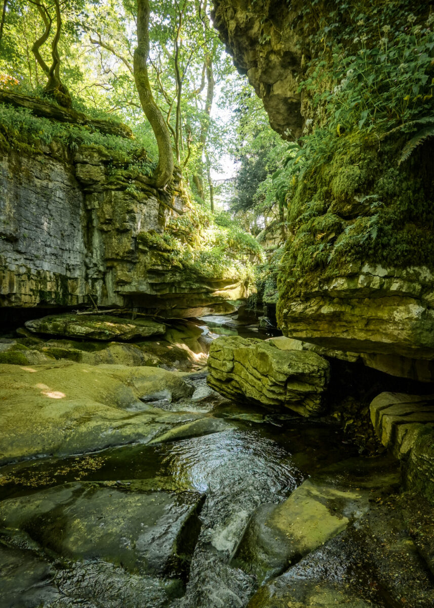 How Stean Gorge: The Ultimate Visitor's Guide (2023)