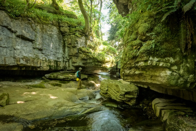 How Stean Gorge: The Ultimate Visitor's Guide (2023)