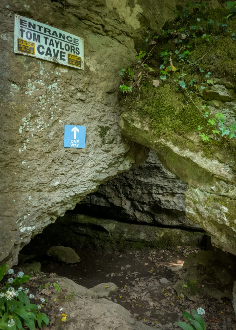 How Stean Gorge: The Ultimate Visitor's Guide (2023)