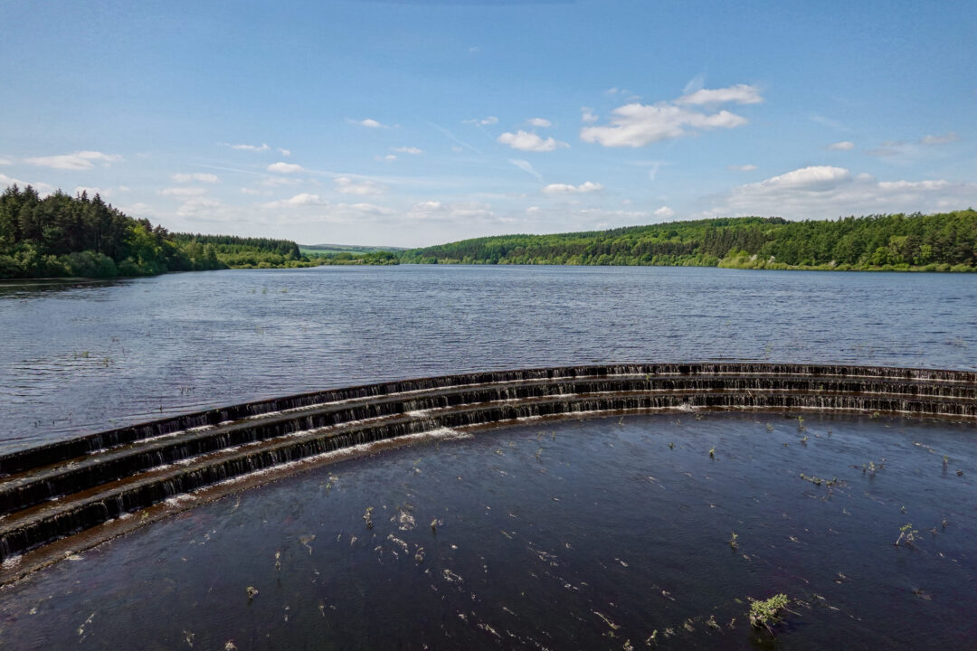 Fewston Reservoir Walk: The Ultimate Guide (2023)