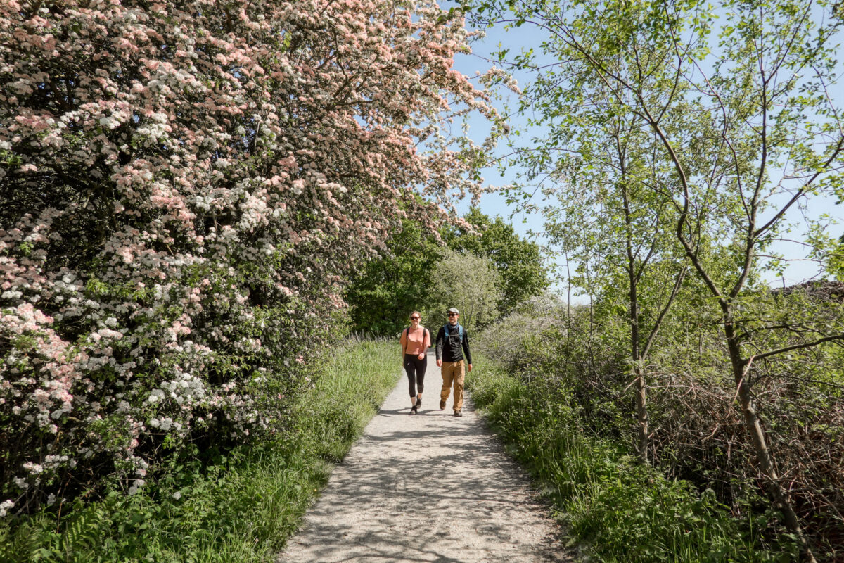 Swinsty Reservoir Walk: Everything You Need to Know
