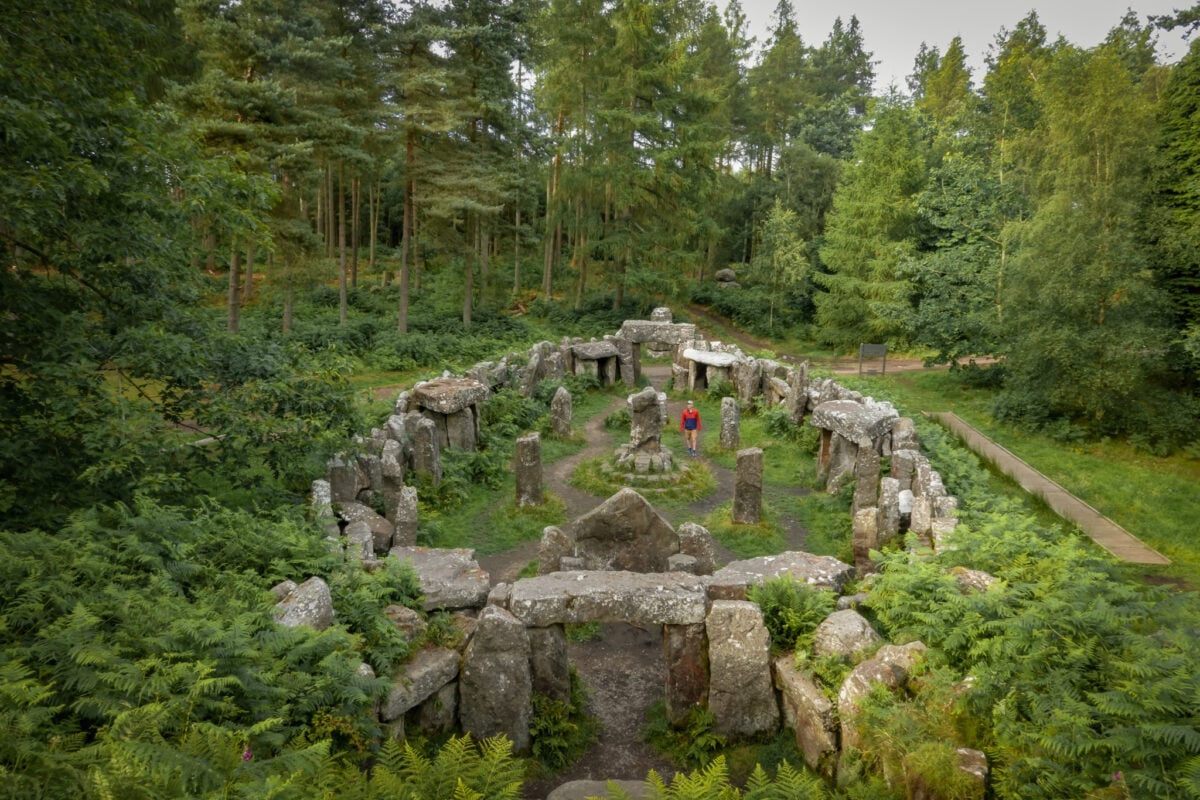 Hackfall Woods: Everything You Need to Know About Visiting