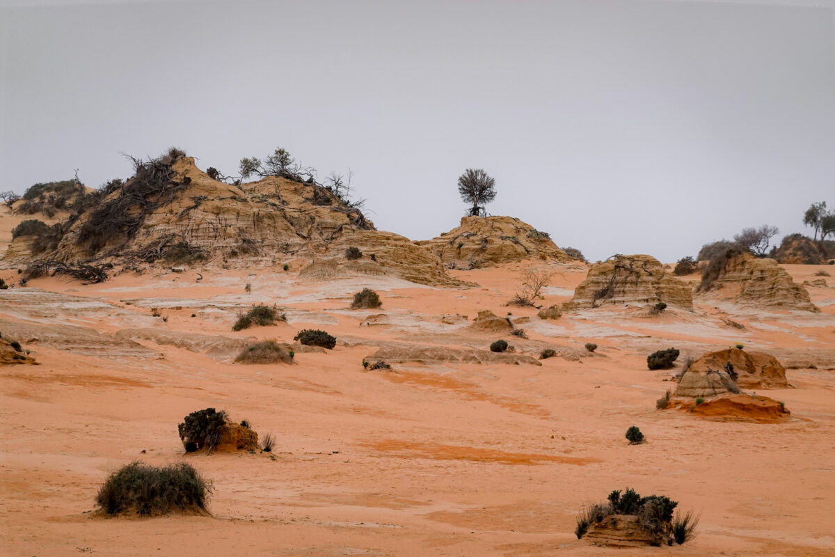 Walls of China, Mungo National Park: How to Visit (Updated [date-today ...
