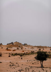 Walls of China, Mungo National Park: How to Visit (Updated [date-today ...