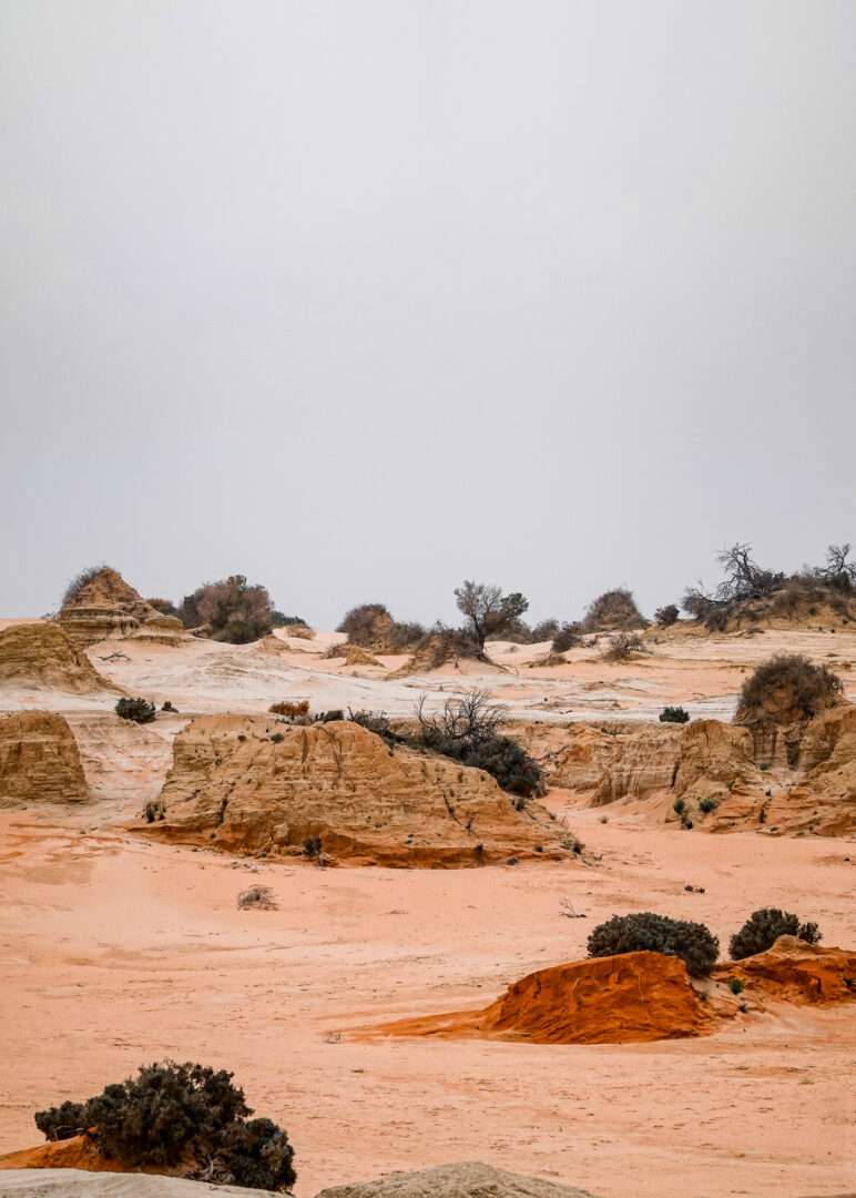 Walls of China, Mungo National Park: How to Visit (Updated [date-today ...