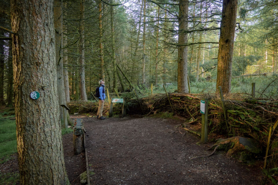 Yorkshire Red Squirrels: The Snaizeholme Red Squirrel Trail