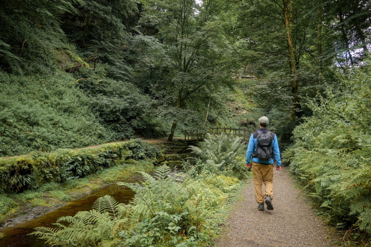 Hardraw Force: The Ultimate Visitor's Guide (Updated [date-today format ...