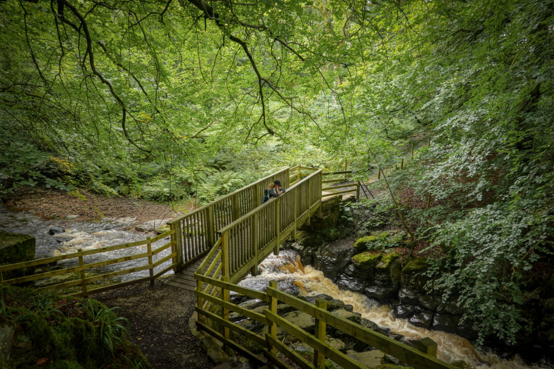 Hardraw Force: The Ultimate Visitor's Guide (Updated [date-today format ...