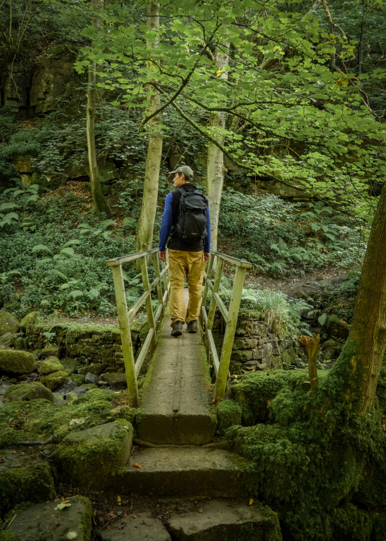 Askrigg Waterfalls Walk: Mill Gill Force and Whitfield Gill Force