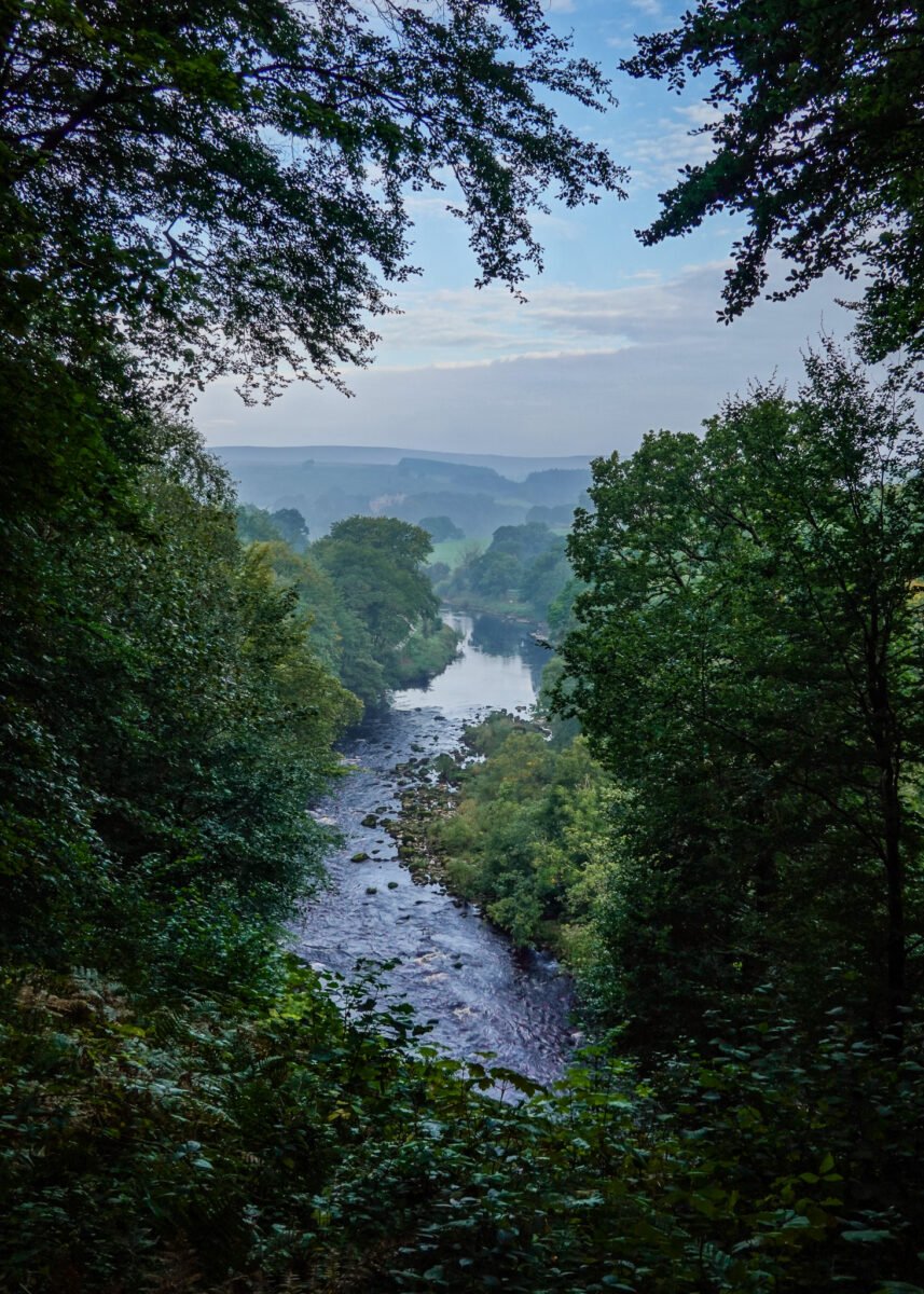 The Strid: Visit The World's Not-So-Deadly Stretch of River