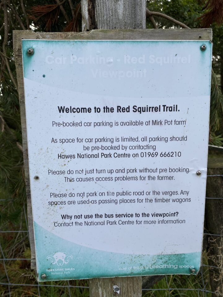 Yorkshire Red Squirrels: The Snaizeholme Red Squirrel Trail