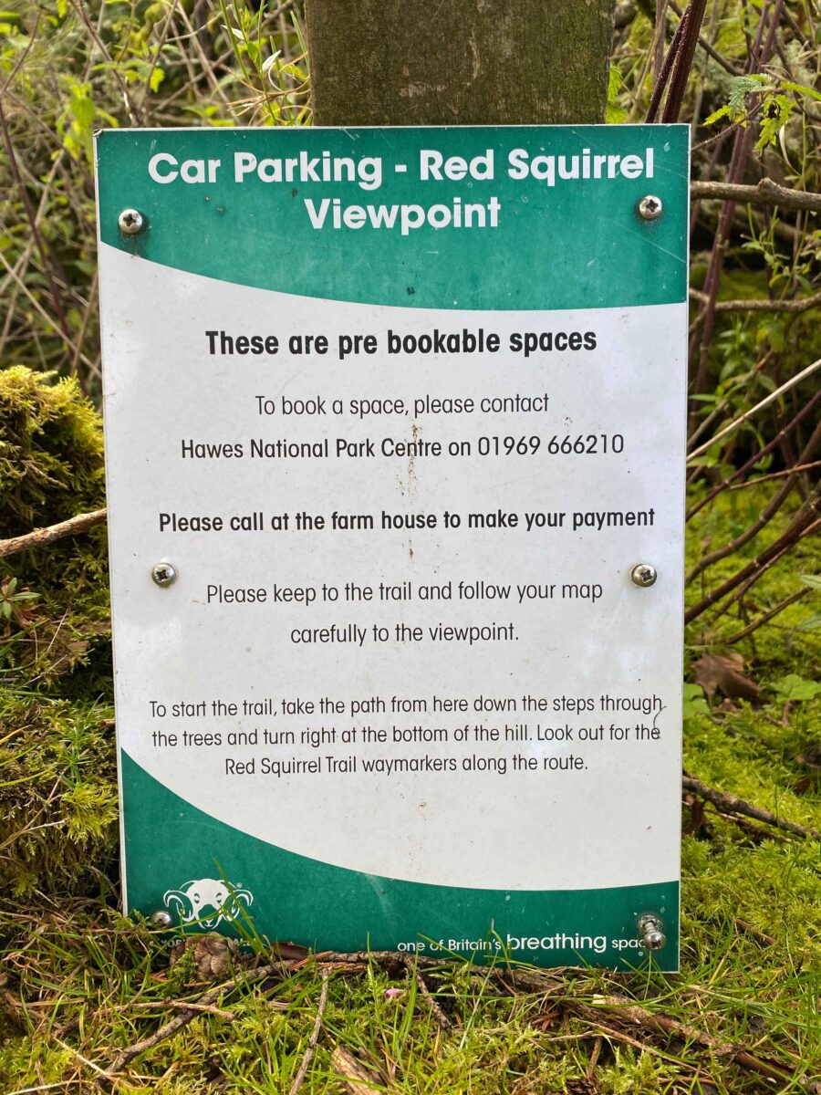 Yorkshire Red Squirrels: The Snaizeholme Red Squirrel Trail