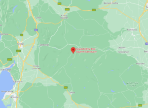 Yorkshire Red Squirrels: The Snaizeholme Red Squirrel Trail