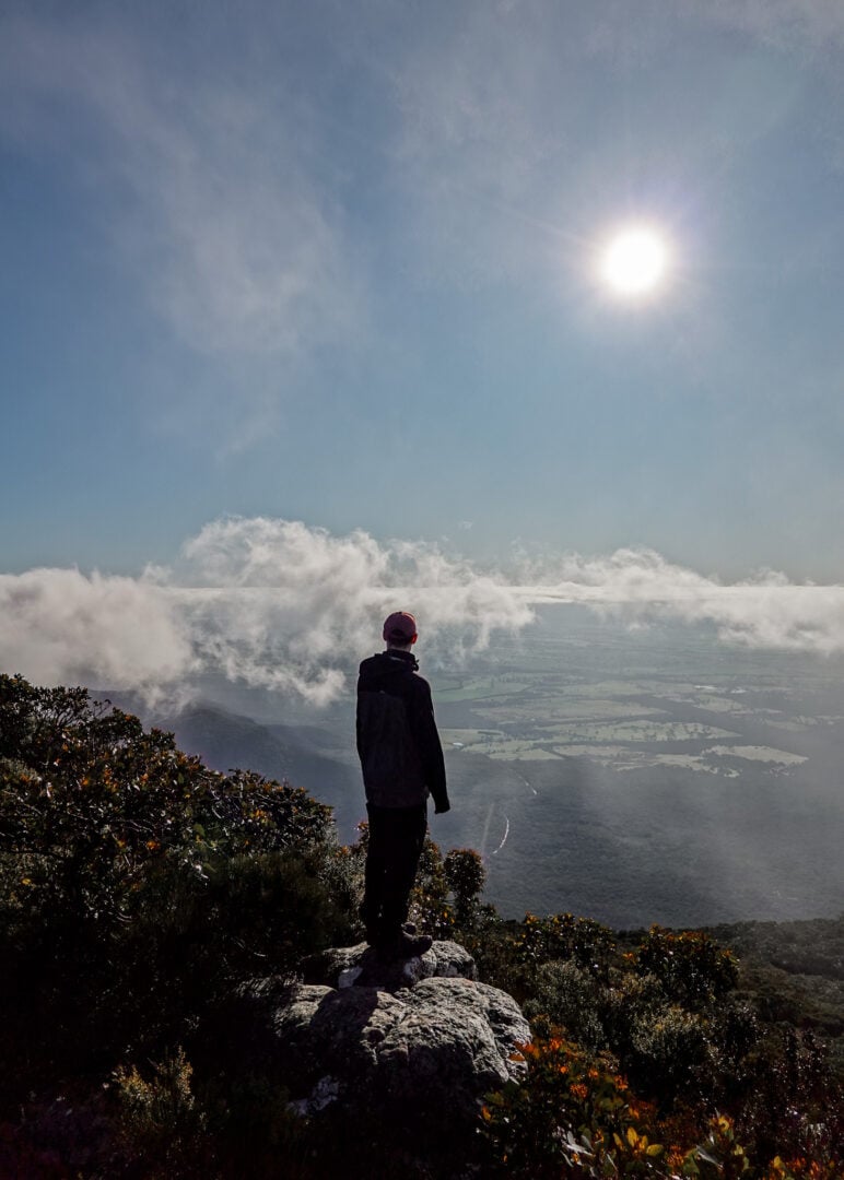 Mount William Walk: Summit The Highest Peak In The Grampians