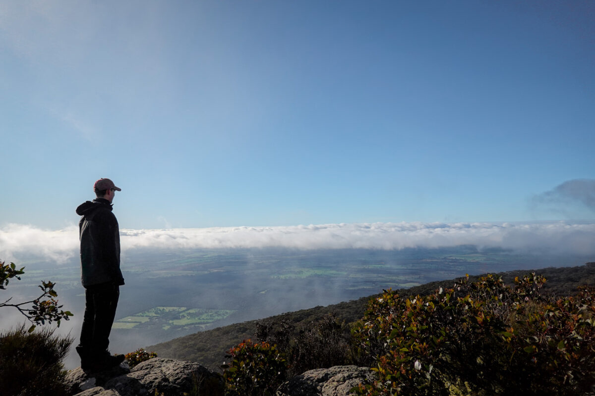 Mount William Walk: Summit The Highest Peak In The Grampians