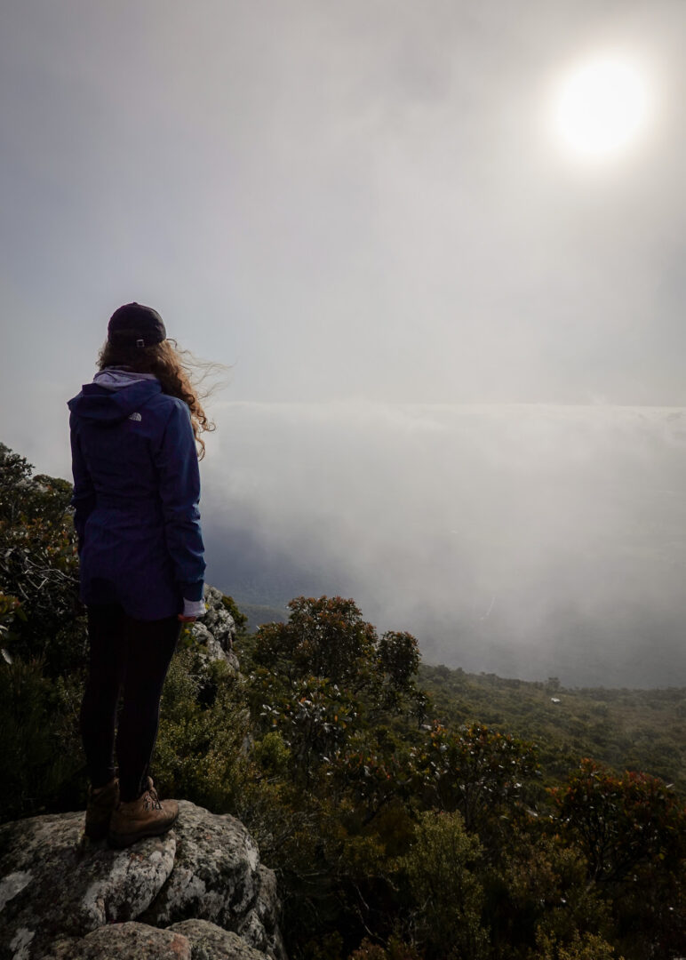 Mount William Walk: Summit The Highest Peak In The Grampians