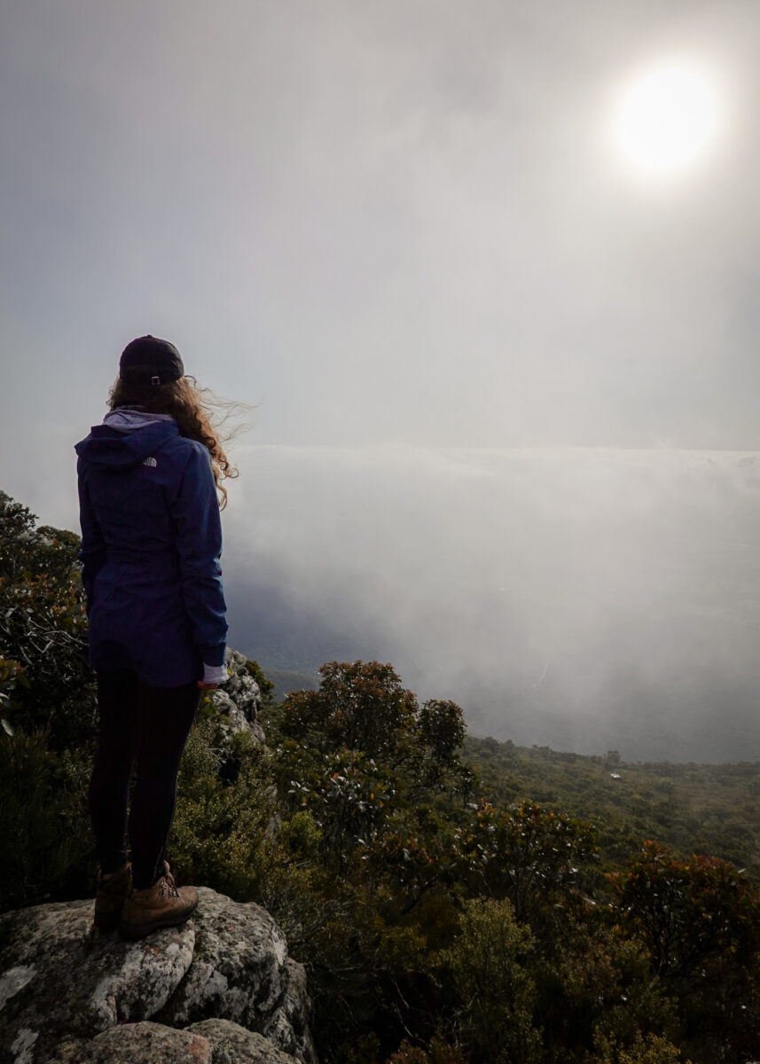 Mount William Walk: Summit The Highest Peak In The Grampians