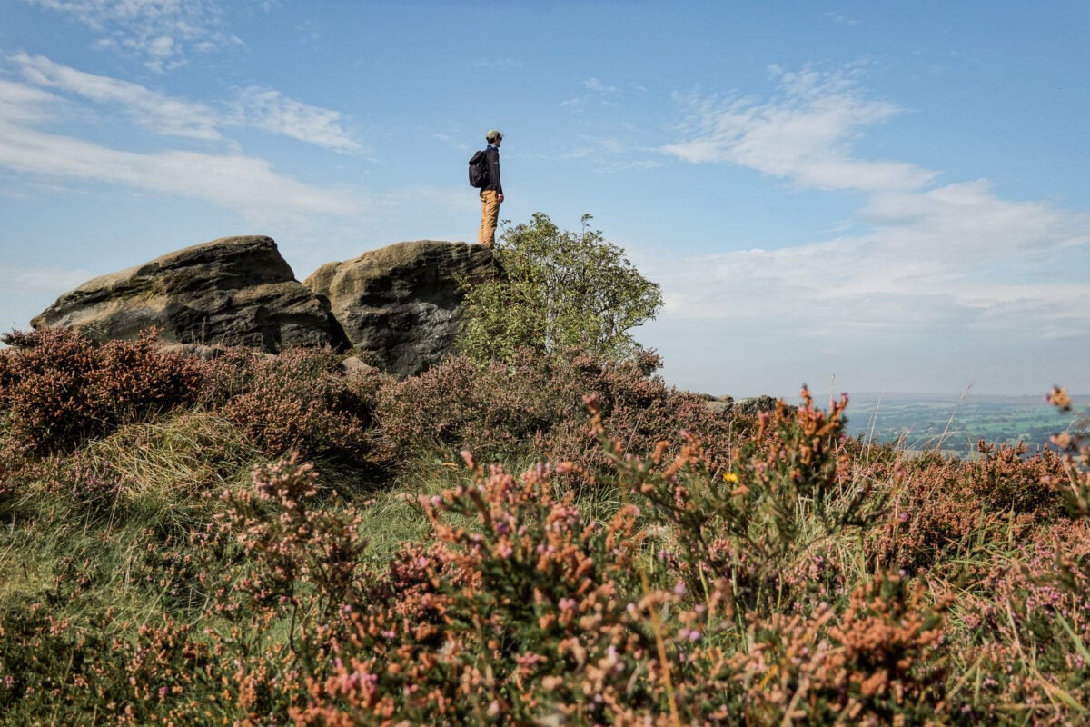 Otley Chevin Forest Park: The Ultimate Visitor's Guide