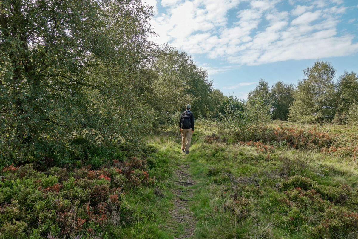 Otley Chevin Forest Park: The Ultimate Visitor's Guide