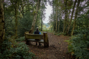 Hackfall Woods: Everything You Need to Know About Visiting