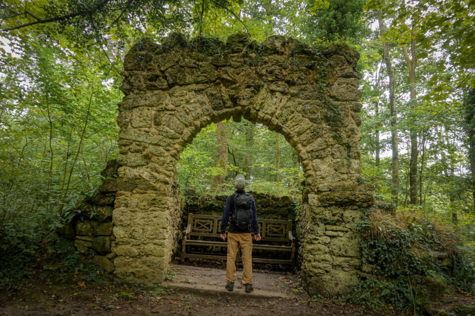 Hackfall Woods: Everything You Need to Know About Visiting