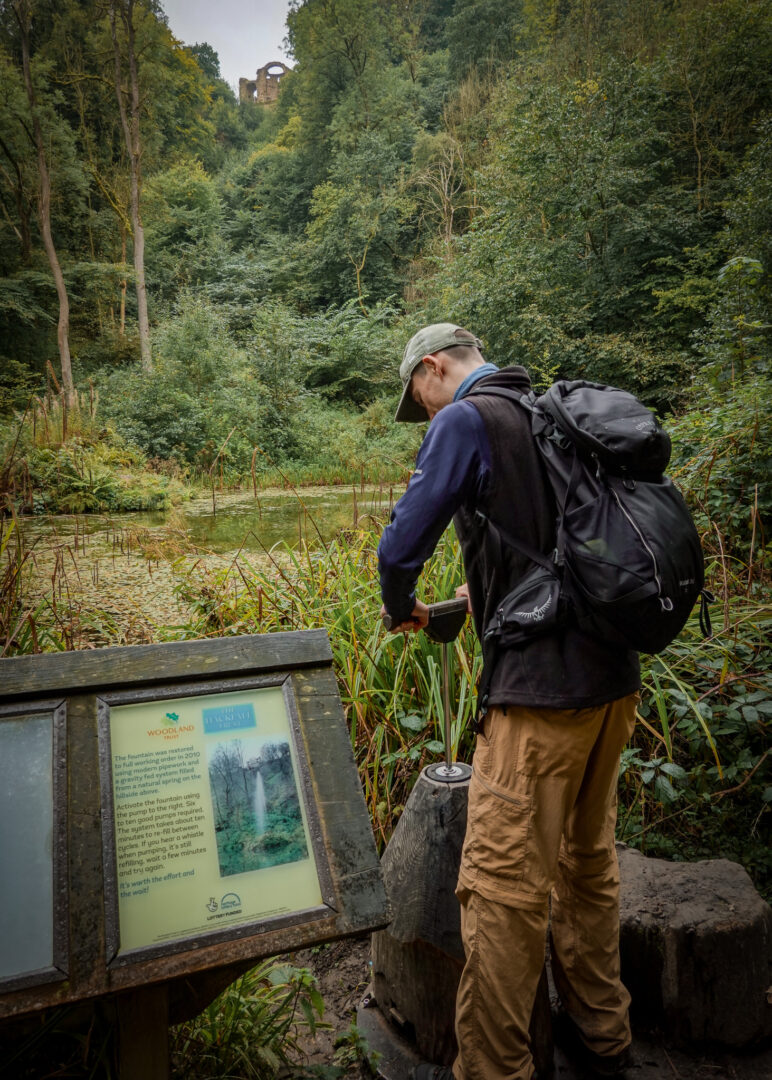 Hackfall Woods: Everything You Need to Know About Visiting