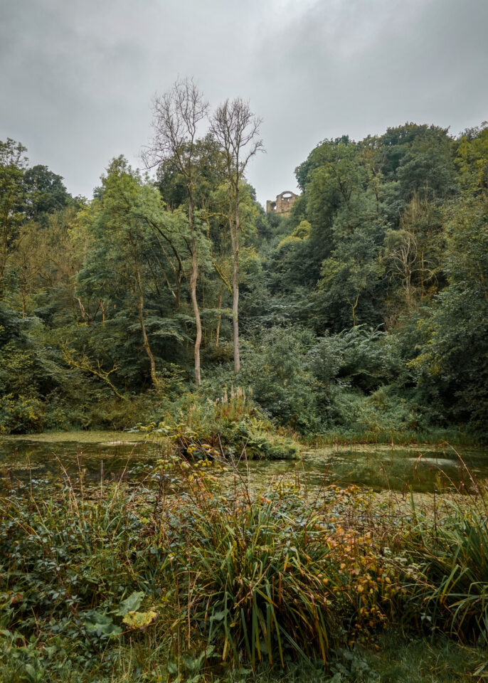 Hackfall Woods: Everything You Need to Know About Visiting