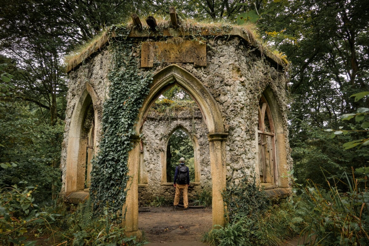 Hackfall Woods: Everything You Need to Know About Visiting