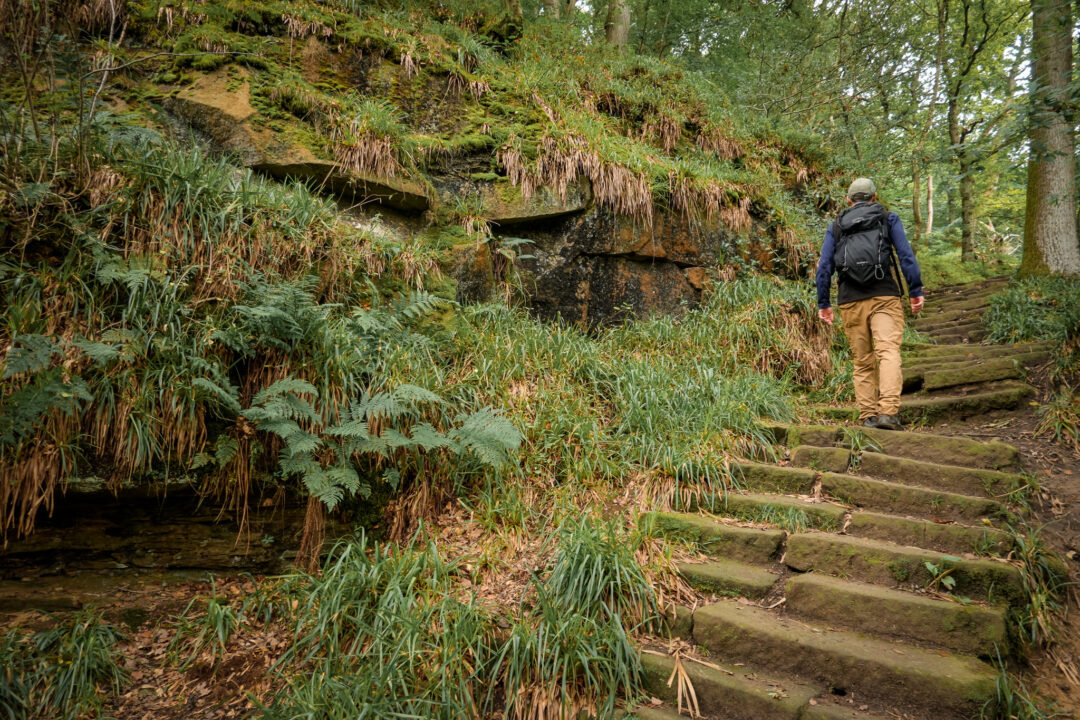 Hackfall Woods: Everything You Need to Know About Visiting