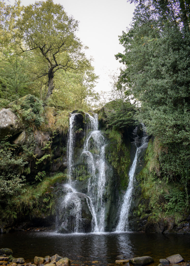 Bolton Abbey Waterfall: The Ultimate Visitor's Guide ([date-today ...