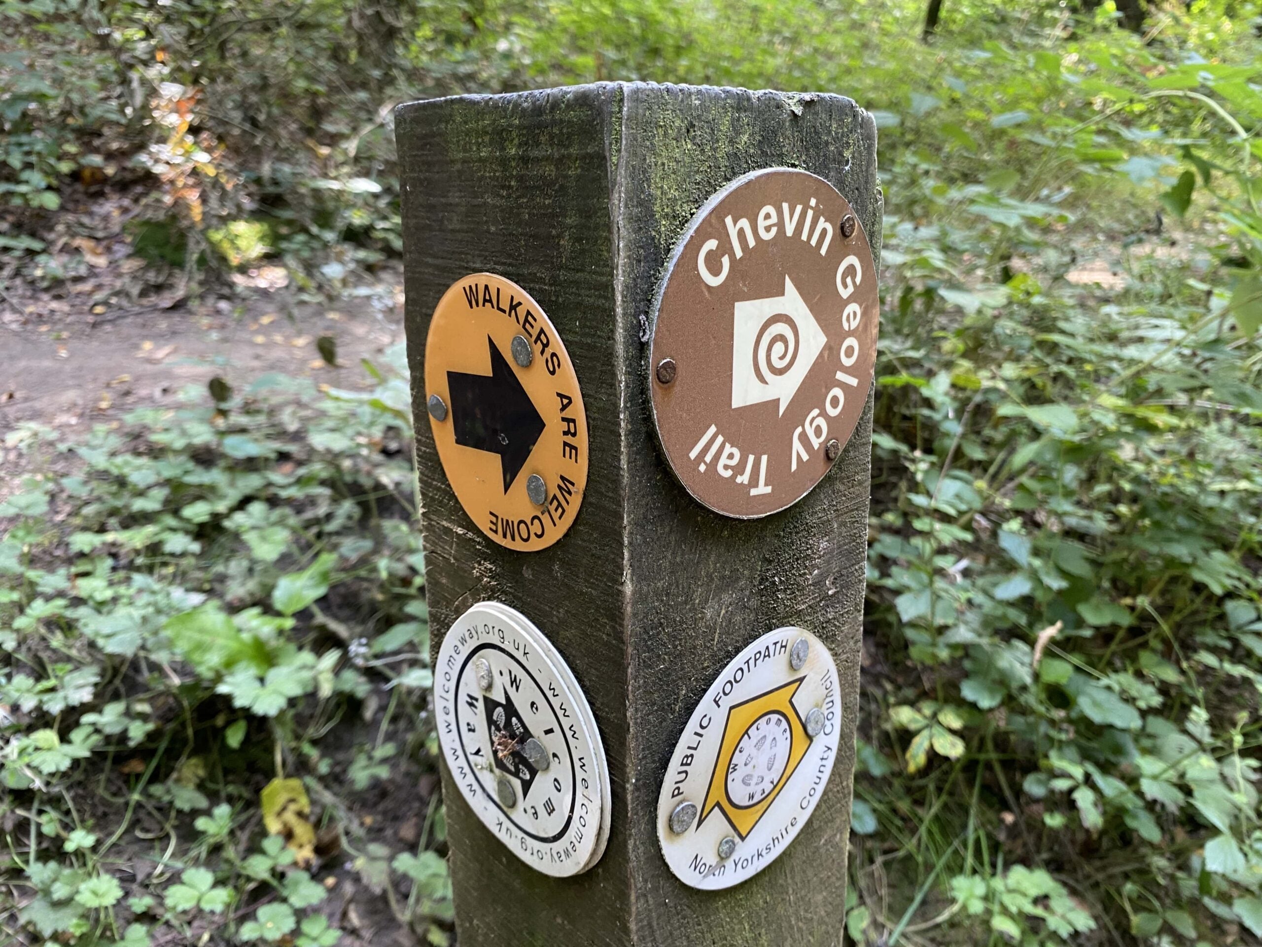 Otley Chevin Forest Park: The Ultimate Visitor's Guide