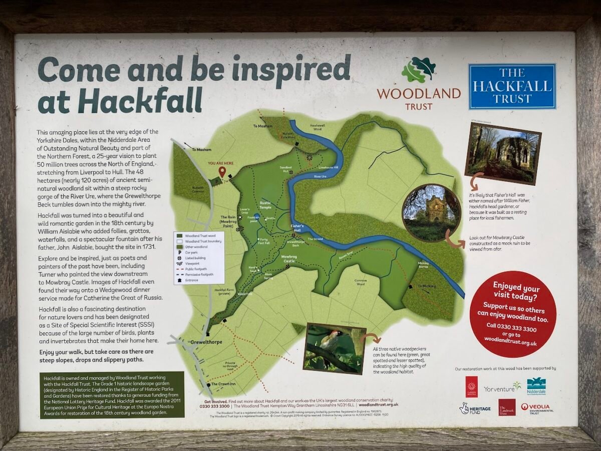 Hackfall Woods: Everything You Need to Know About Visiting