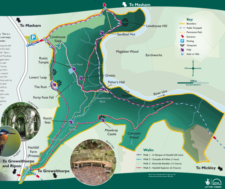 Hackfall Woods: Everything You Need to Know About Visiting