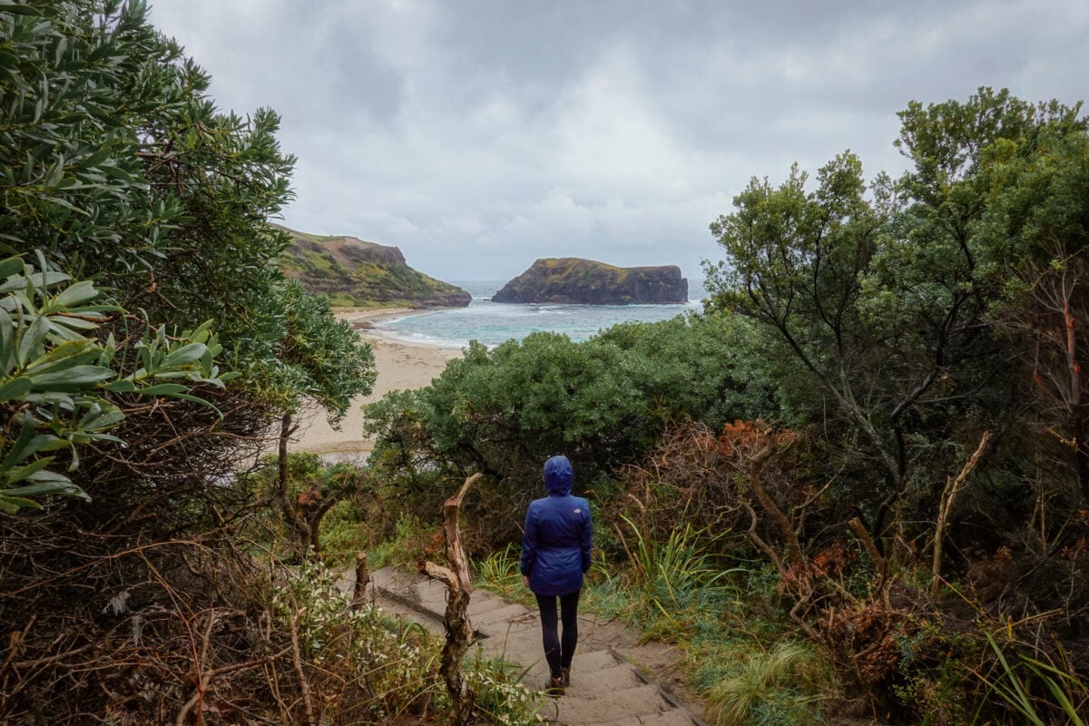 Cape Schanck Walk To Pulpit Rock (Plus 2 Trail Extensions)