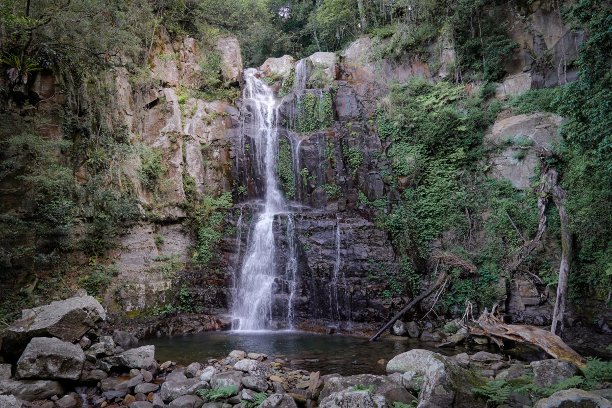 Minnamurra Falls: How to Find This Epic Waterfall ([date-today format='Y'])