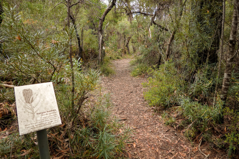 Fitzroy Falls Guide: Discover 3 Walks, 4 Waterfalls & 14 Lookouts