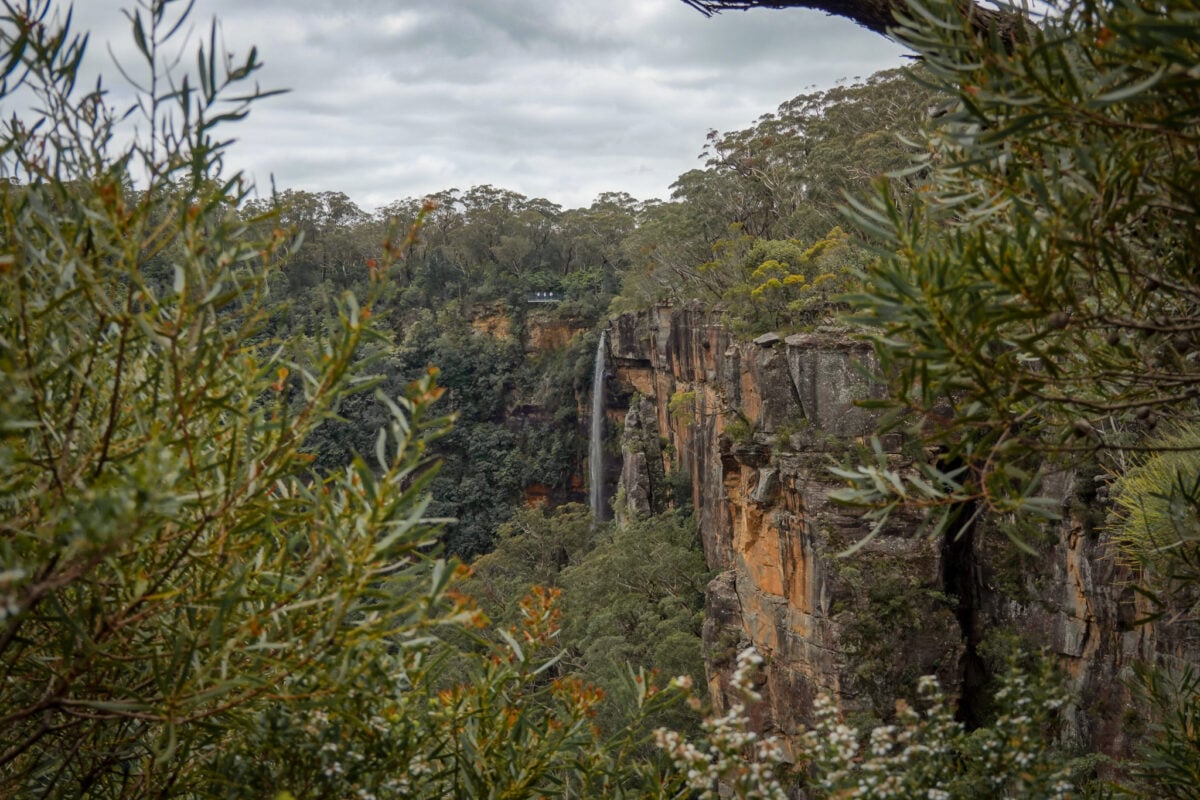 Fitzroy Falls Guide: Discover 3 Walks, 4 Waterfalls & 14 Lookouts