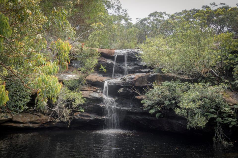 The 19 Best Waterfalls in Sydney You Must Visit (Updated [date-today ...