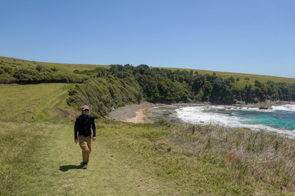 Kiama Coastal Walk: Everything You Need to Know ([date-today format='Y'])
