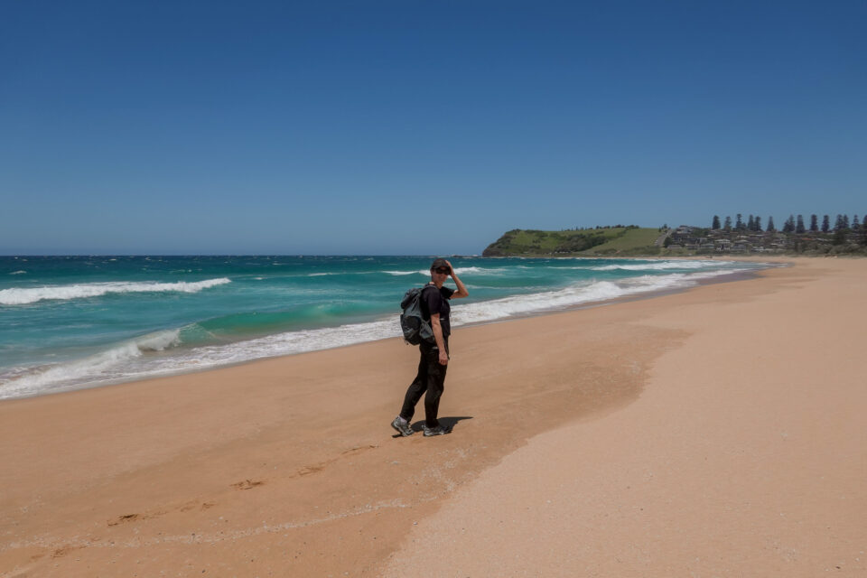 Werri Beach: Everything You Need to Know Before Visiting ([date-today ...