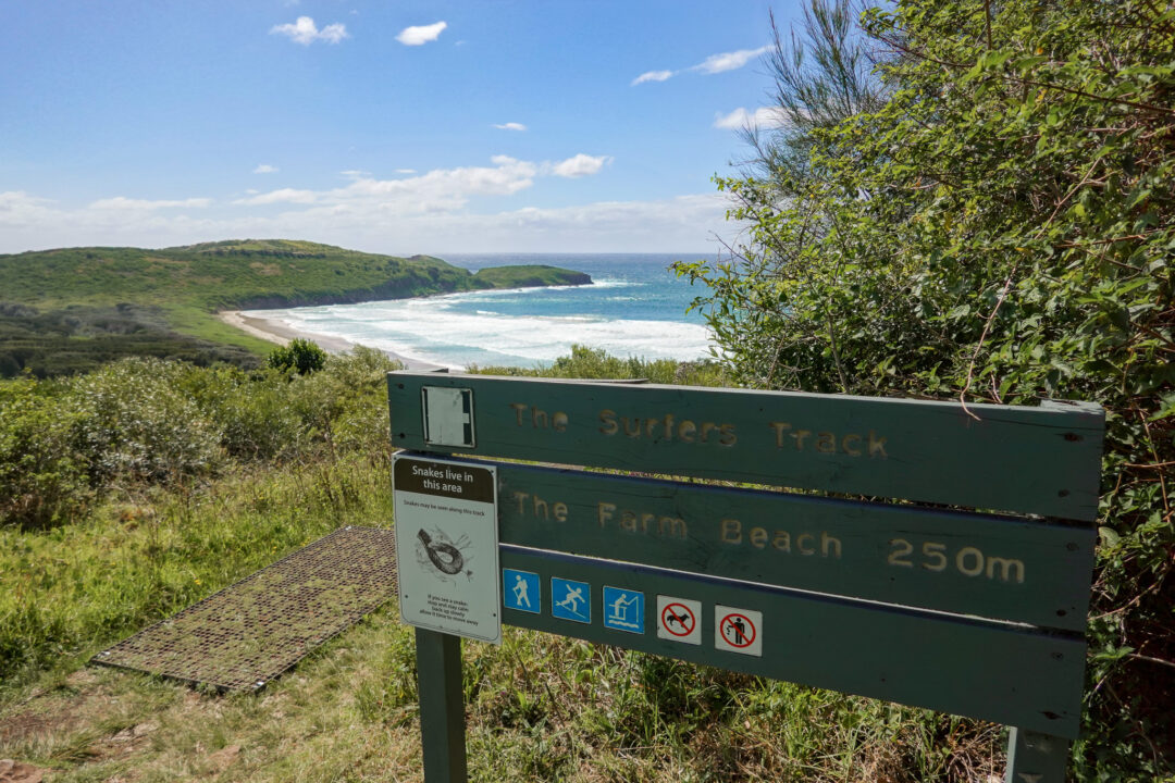 The Farm (Killalea Beach) – The Complete Visitor's Guide