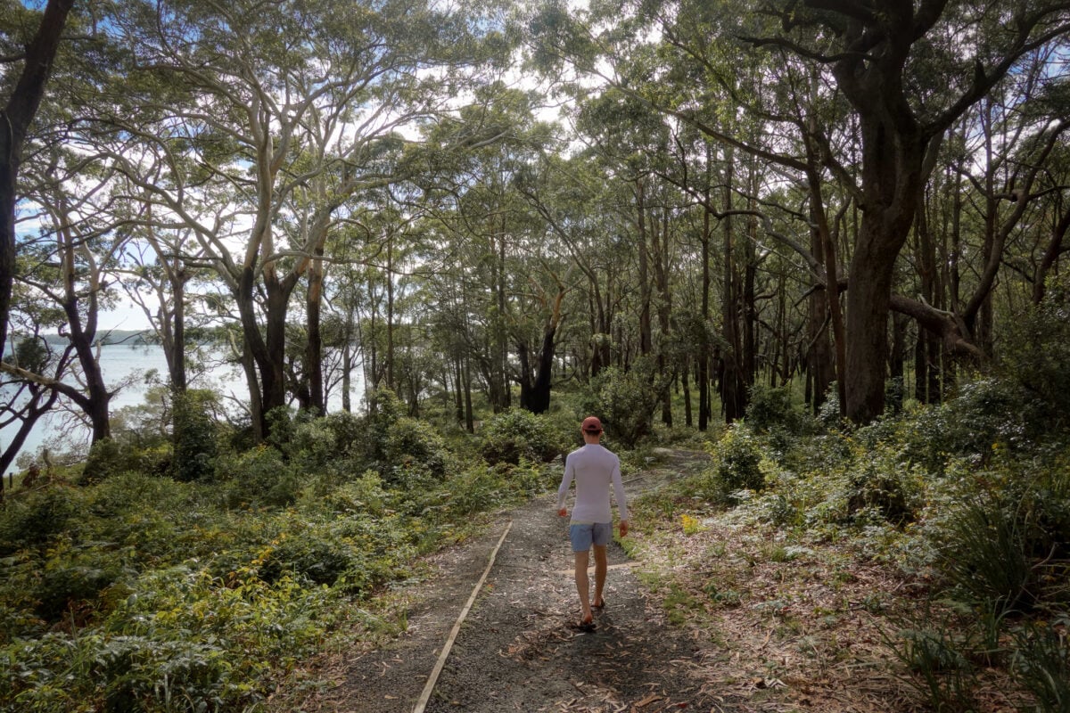 Green Patch Beach, Jervis Bay: Top 6 Things To Do