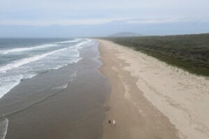 How To Get From Sydney To Jervis Bay: The Complete Guide