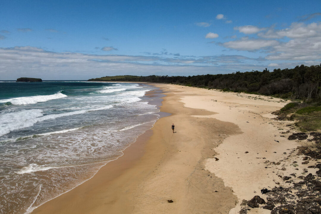 Killalea Regional Park: The 8 Best Things to Do In [date-today format='Y']