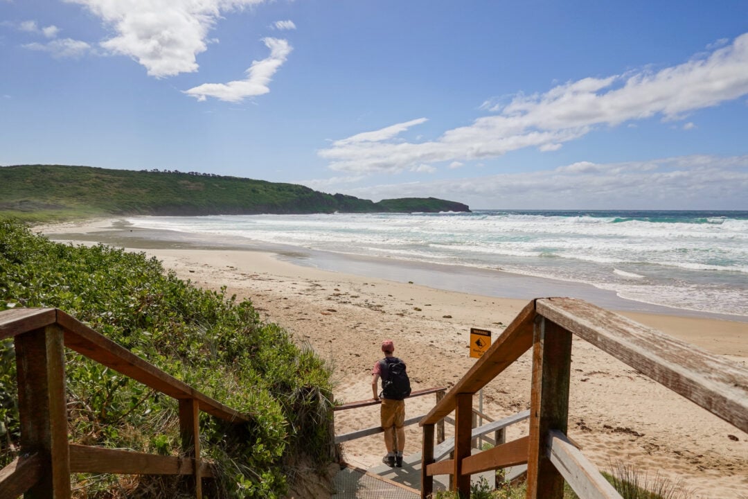 The Farm (Killalea Beach) – The Complete Visitor's Guide