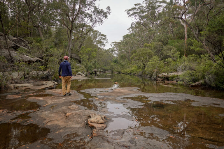 Karloo Pools & Karloo Walking Track: 17 Essential Things to Know