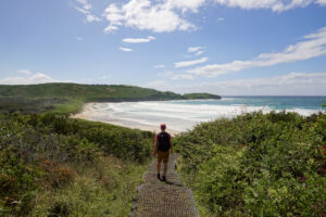 The Farm (Killalea Beach) – The Complete Visitor's Guide