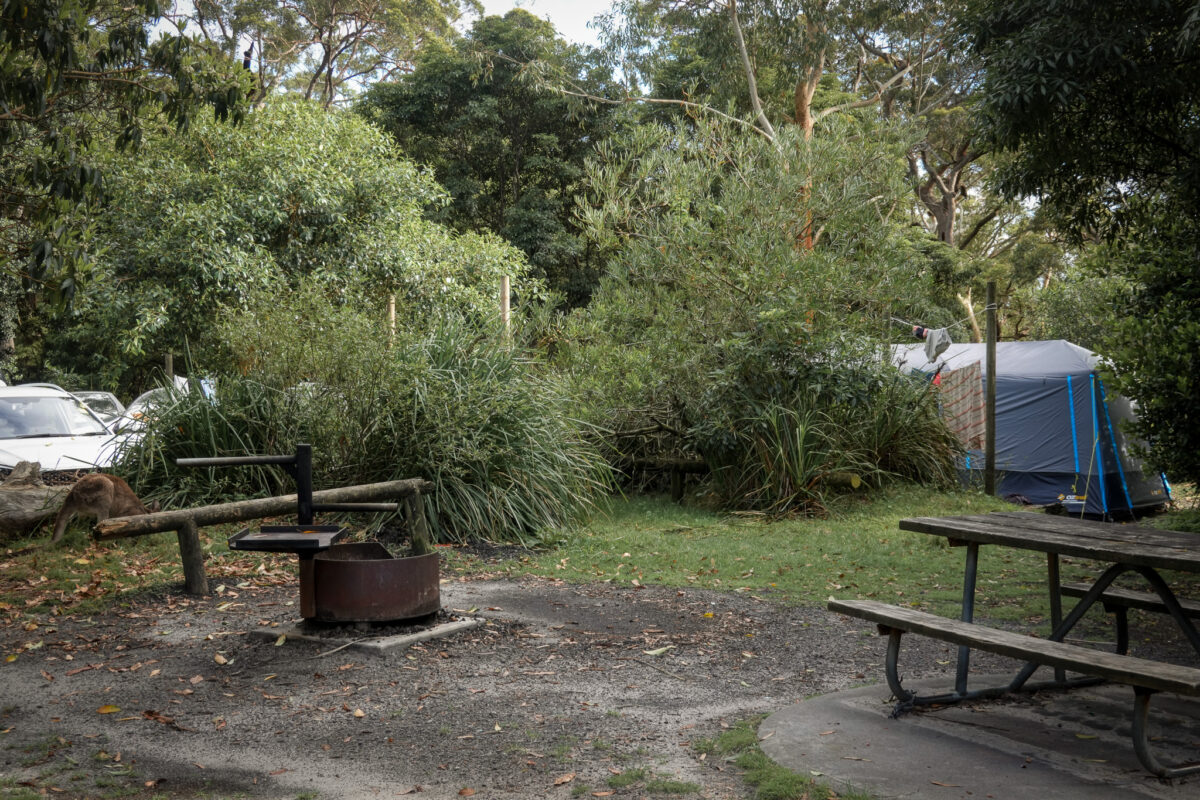 Green Patch Beach, Jervis Bay: Top 6 Things To Do