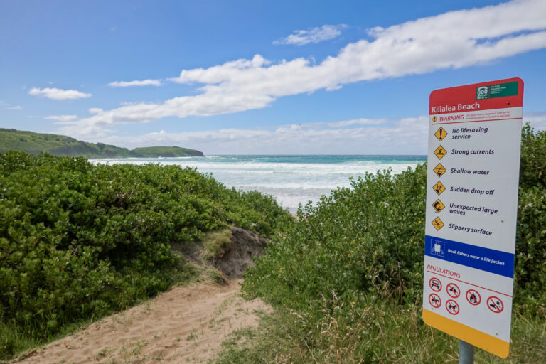 The Farm (Killalea Beach) – The Complete Visitor's Guide