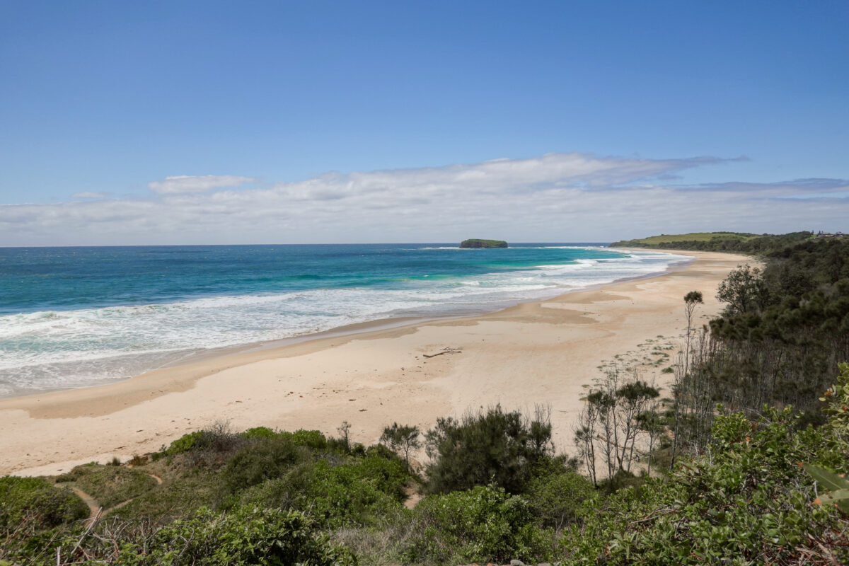 The Farm (Killalea Beach) – The Complete Visitor's Guide